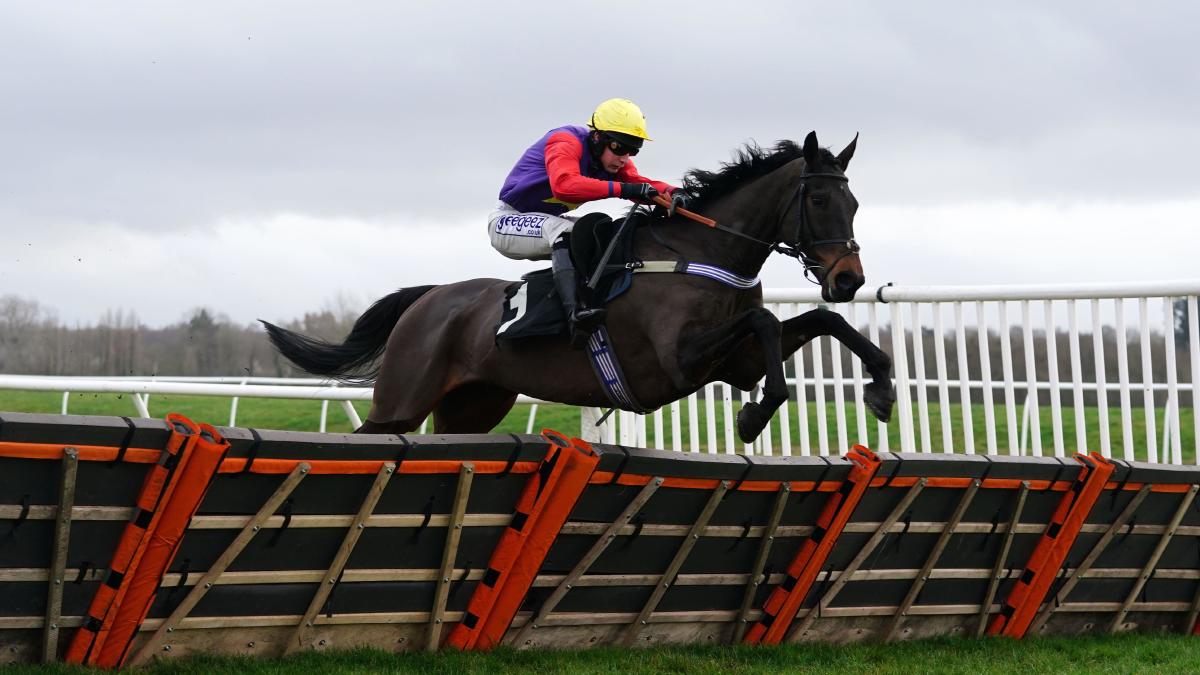 The world is Dashel Drasher's oyster after stunning win at Aintree