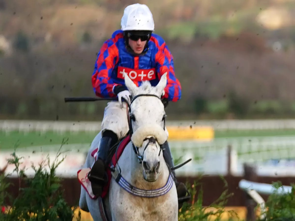 Cheltenham Festival News: Bandey wants it slick for Diesel D’Allier in ...