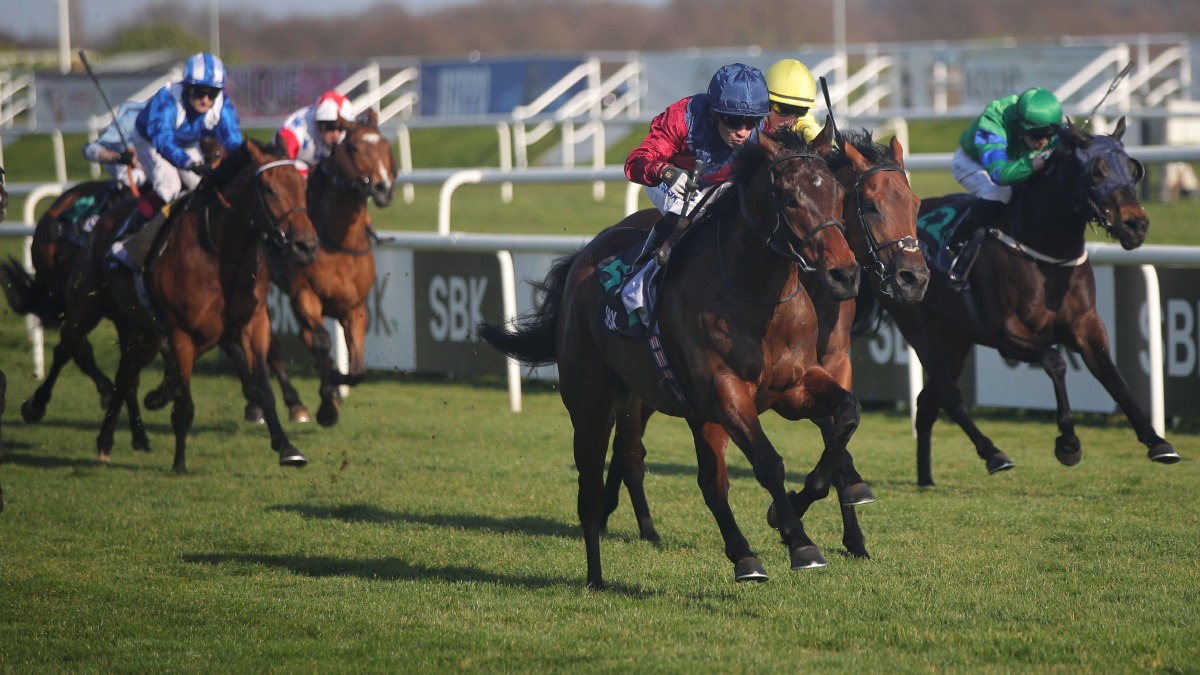 Each-way tip for Doncaster: Yanifer primed for prominent run in Lincoln ...