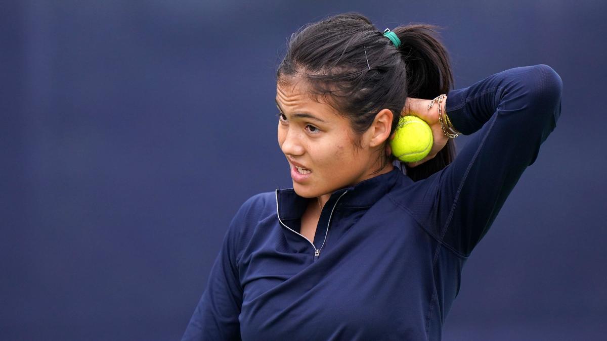 People have to stop putting pressure on Emma Raducanu, says world No.3