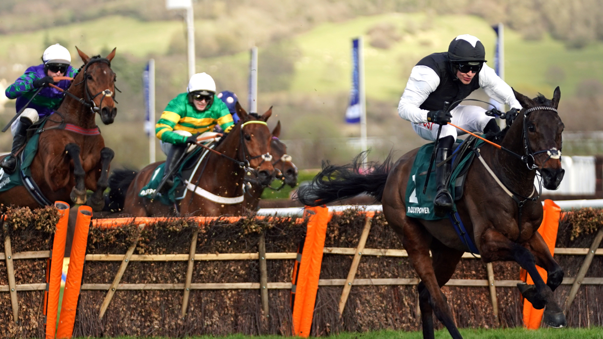 Liverpool Hurdle still in Flooring Porter's sights after Cheltenham ...