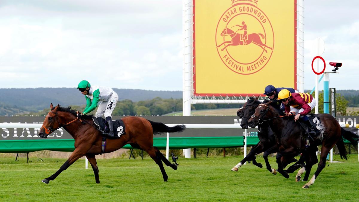 Season over for Royal Ascot hero Haatem