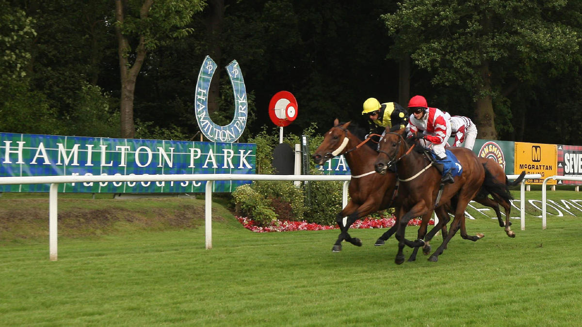 Hamilton free racing tips: Beraz can hit ground running for in-form yard