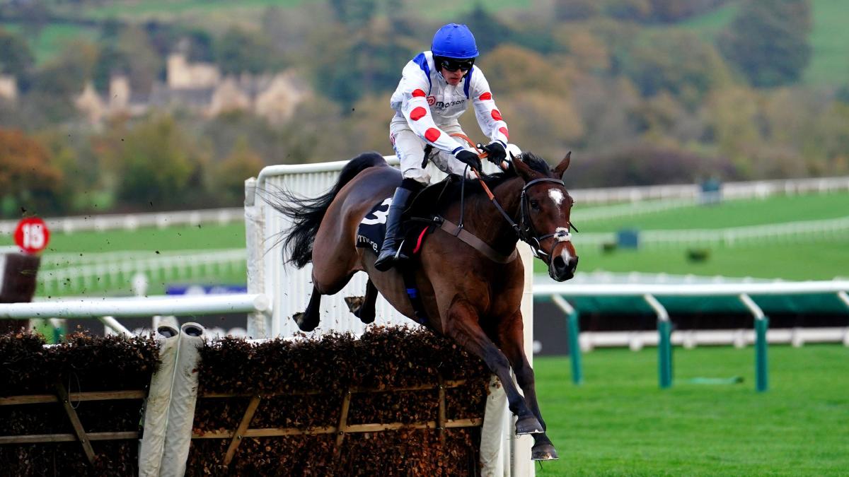 Hermes Allen on target in Ballymore Novices' Hurdle at Cheltenham