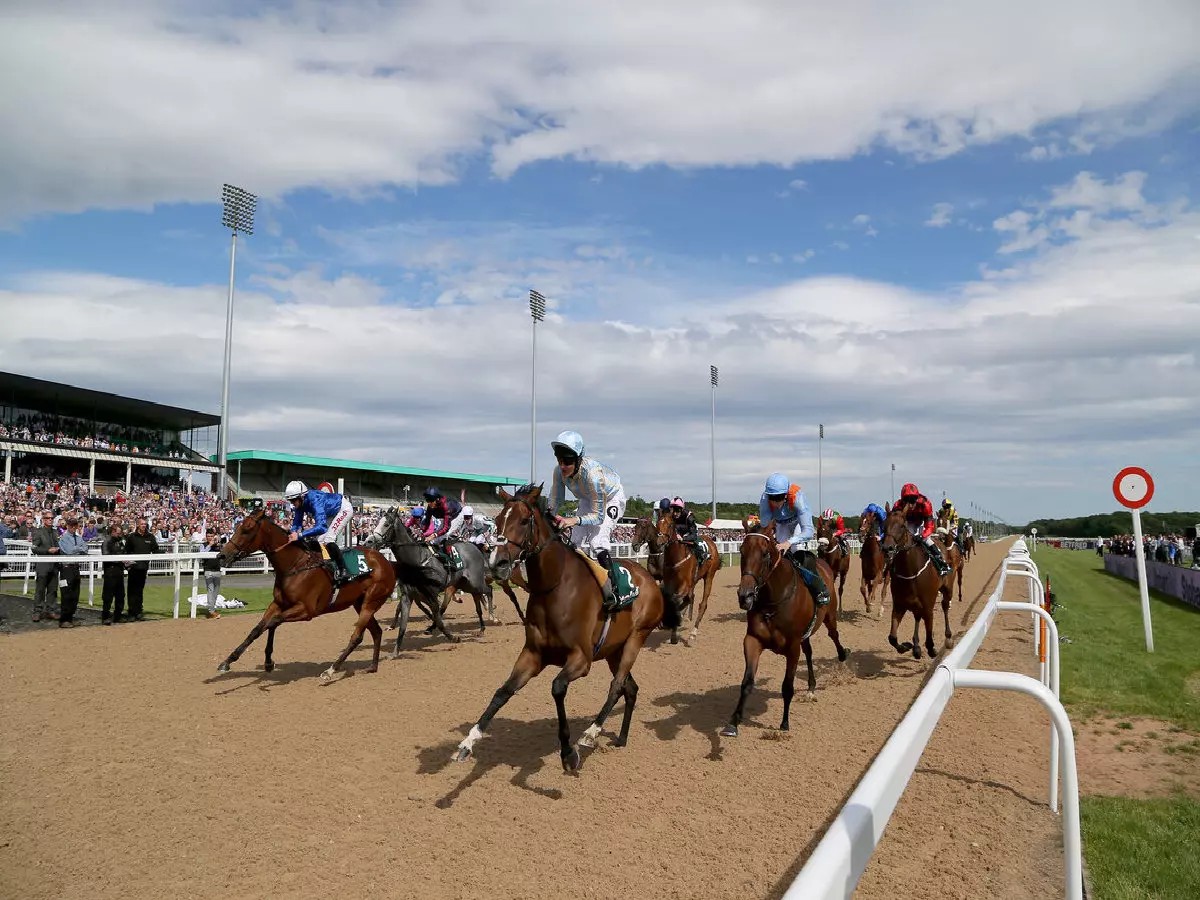 Newcastle trends best bet: Yashin ticks all the right boxes in ...