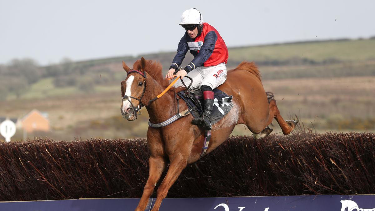 Grand National protests and racehorse welfare: Where do we go from here?