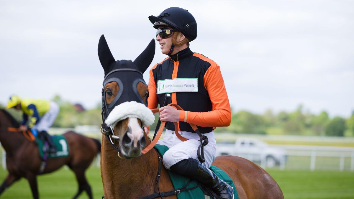 Mick Appleby confirms Raasel to make Meydan debut with a run in Friday ...