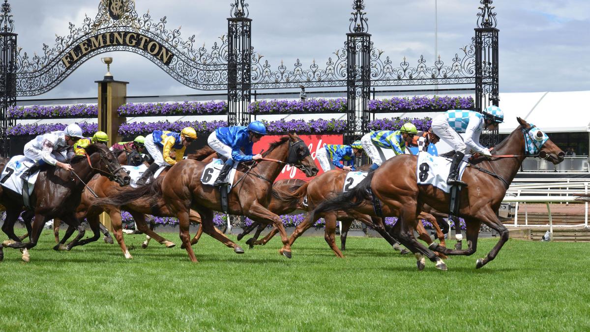 Melbourne Cup 2025: Lexus extend partnership, trainers plot path to the ...