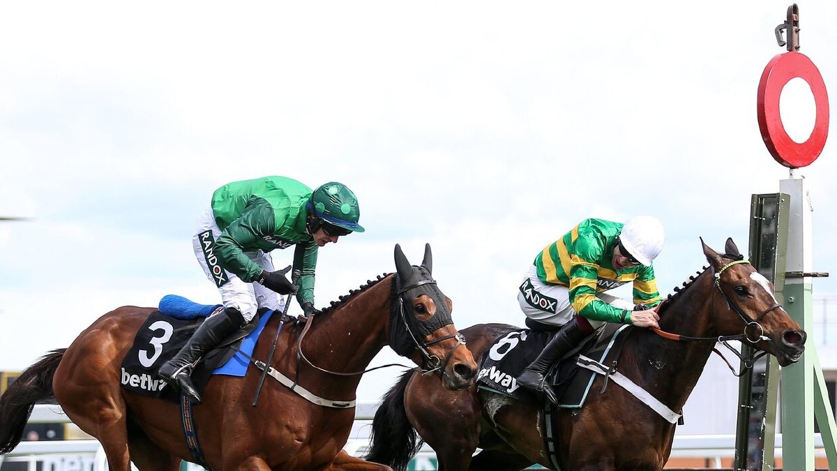 Jonbon all set for weekend action, with Warwick still preferred over ...