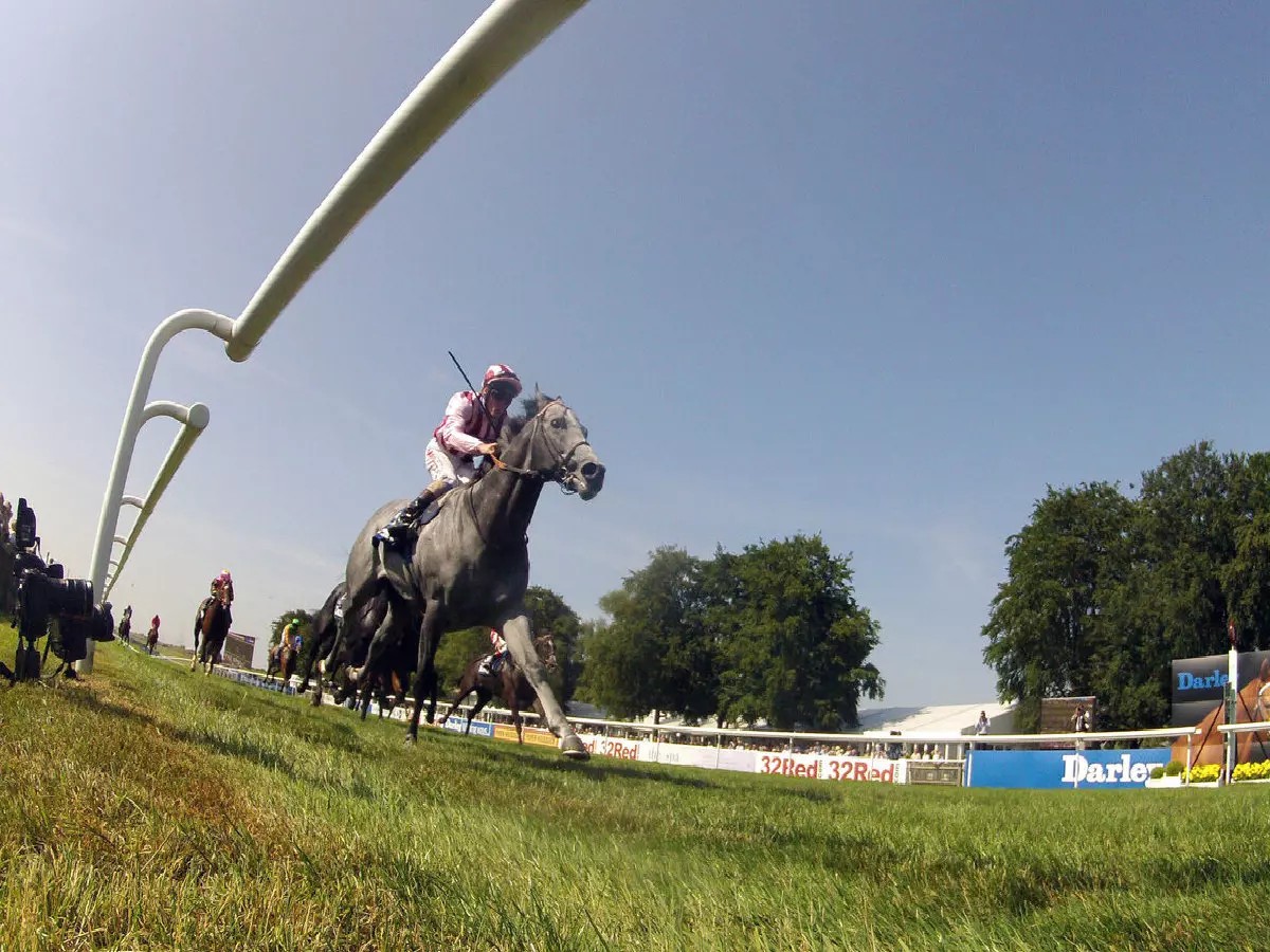 The five fastest winners of the Darley July Cup at Newmarket