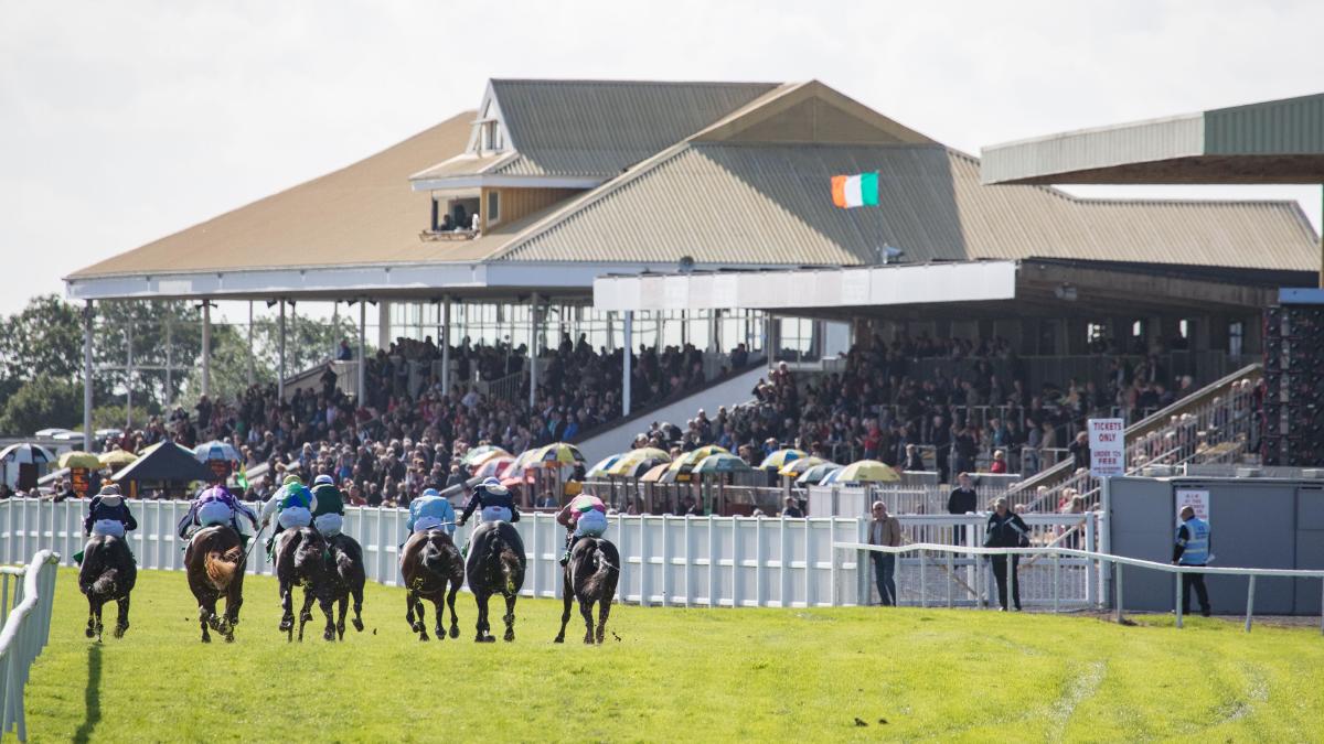 Listowel each-way racing tip: Taylors Three Rock can defy outsider ...