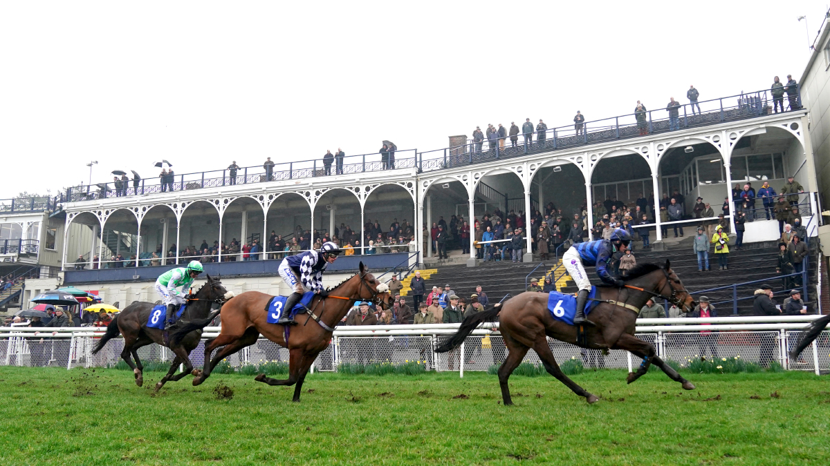 Monday's Ludlow racing tips: Real Steel can be the real deal