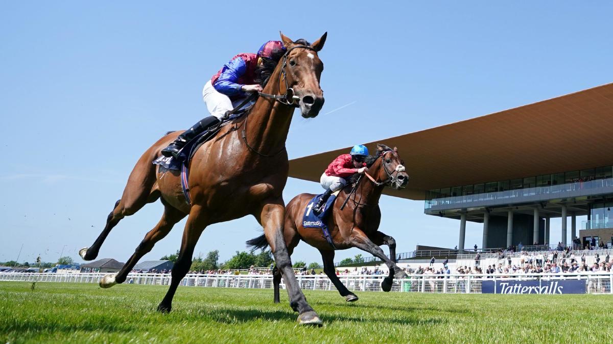 Luxembourg holds on to deny Bay Bridge in thrilling Tattersalls Gold Cup