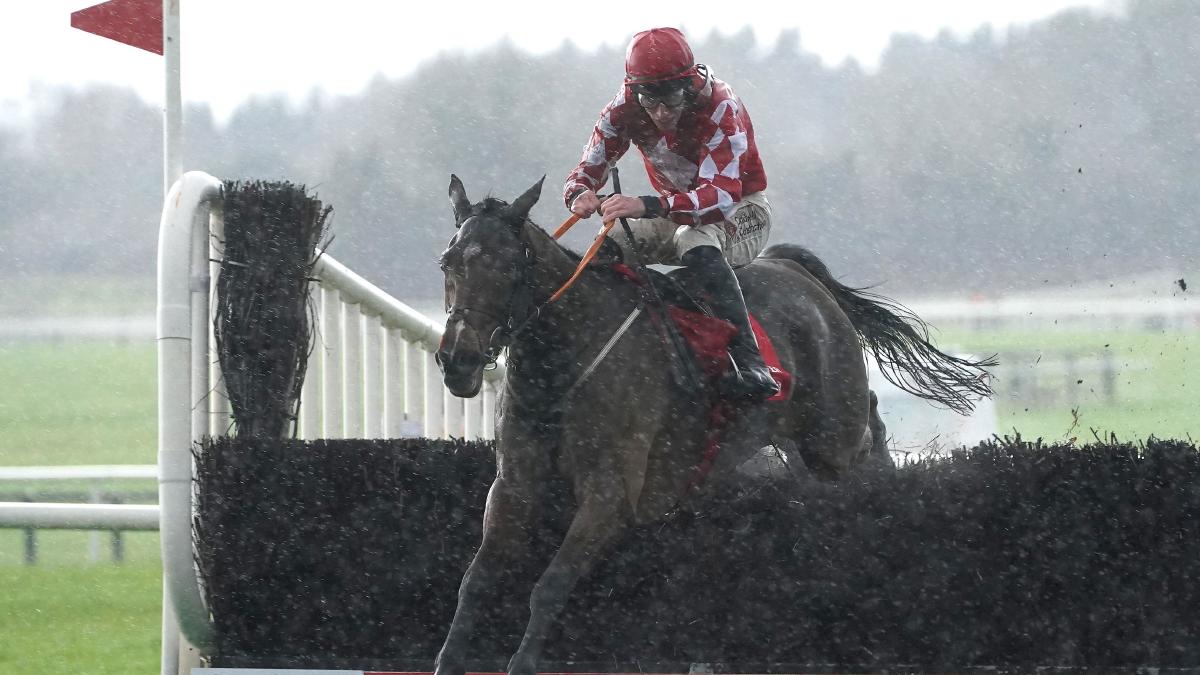 Mighty Potter makes a statement in the Bar One Racing Drinmore Novice Chase