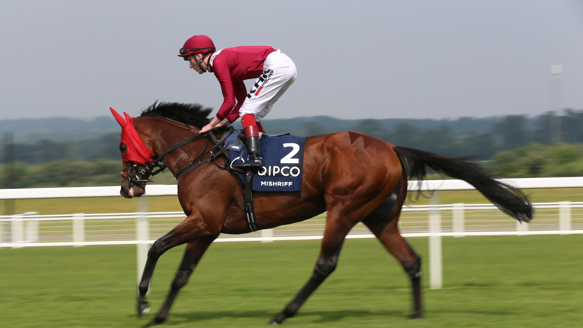 Mishriff rematch with Vadeni in Irish Champion Stakes still on