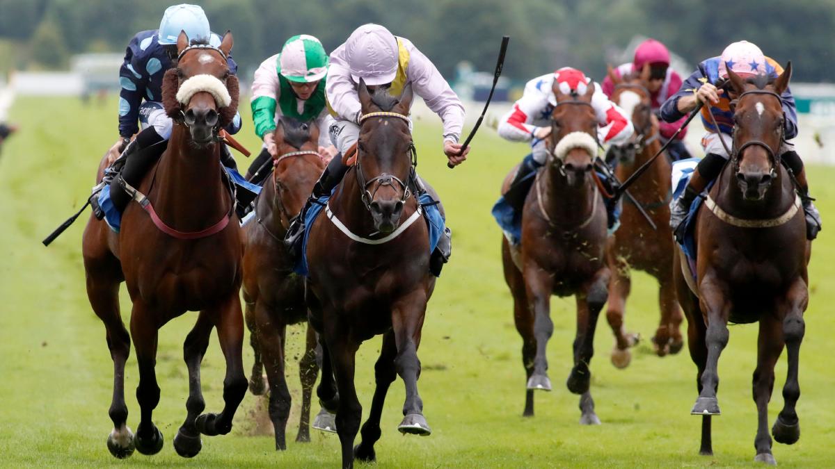 York racing tip: Master Richard and Silver Samurai in the frame