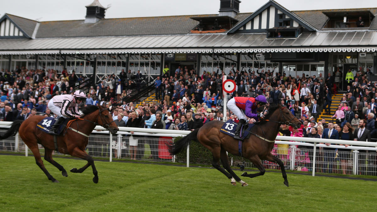 Musselburgh each-way racing tip: Trends point to Digital for outsider value