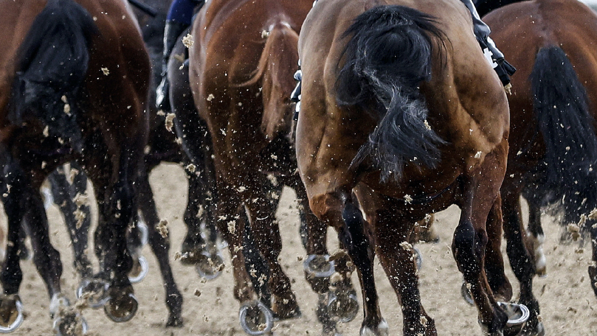 BHA adds six Flat fixtures to racing calendar