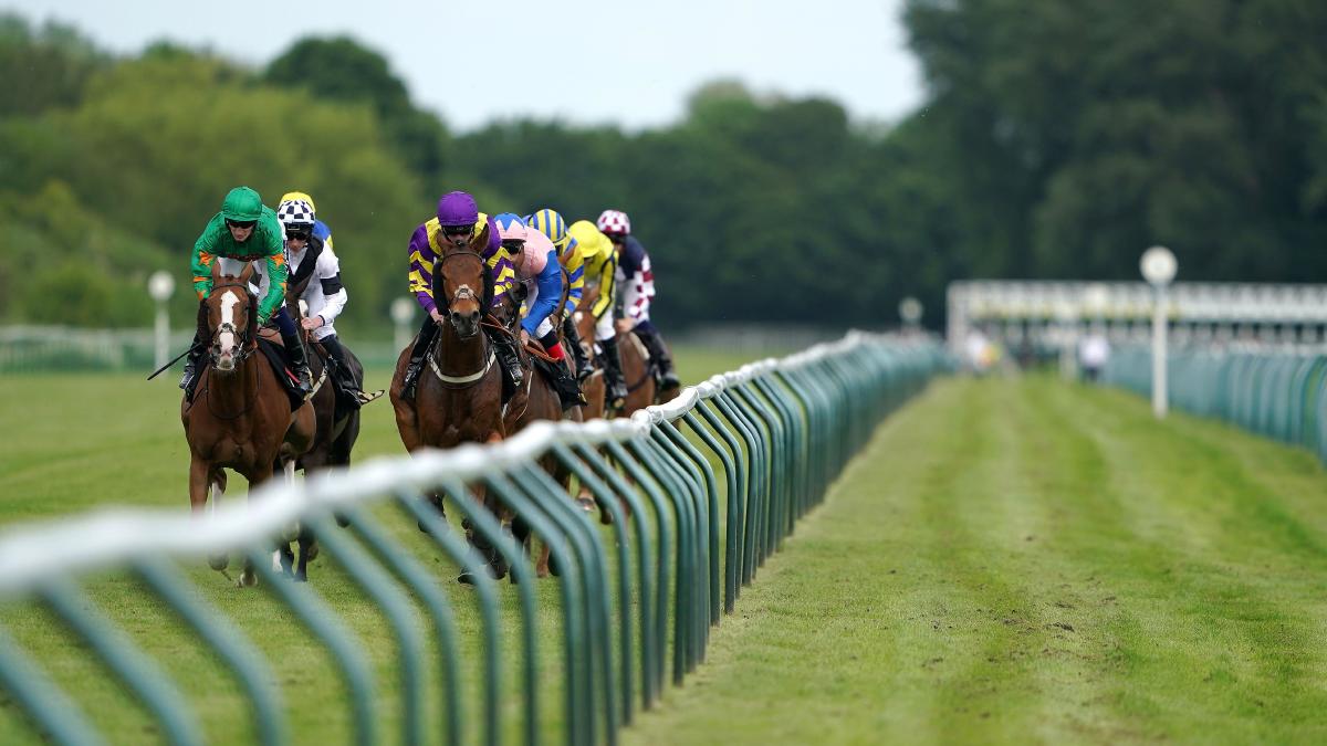 Nottingham each-way tip: Pledge Of Honour to get back on track with a ...