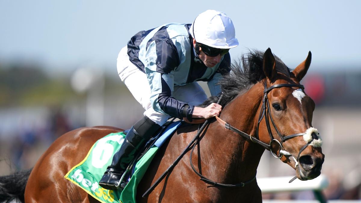 Connections to make late Derby call on Passenger following eyebrow ...