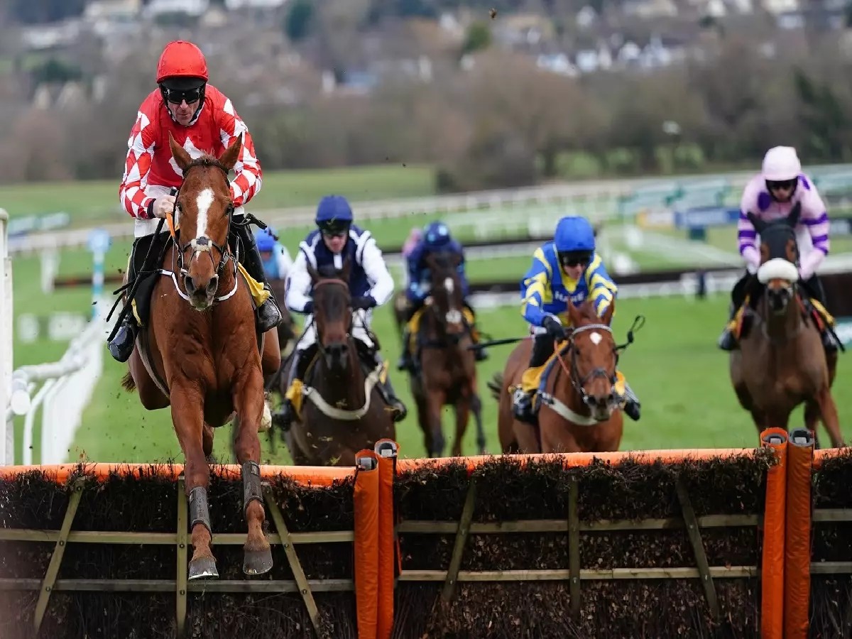 Pied Piper looks a juvenile to follow after facile Cheltenham success