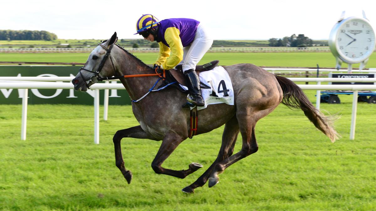 Princess Zoe could return to the Flat after Cheltenham Festival tilt