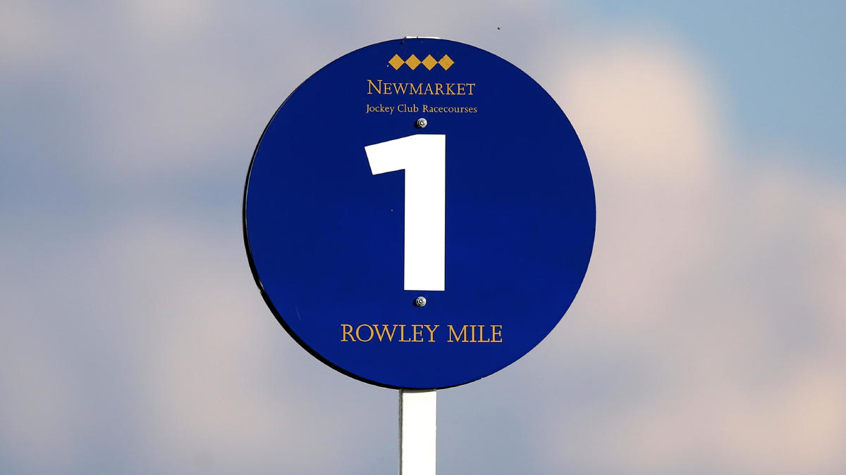 Wednesday racing tips for Cheltenham, Newmarket, Beverley, Gowran and ...