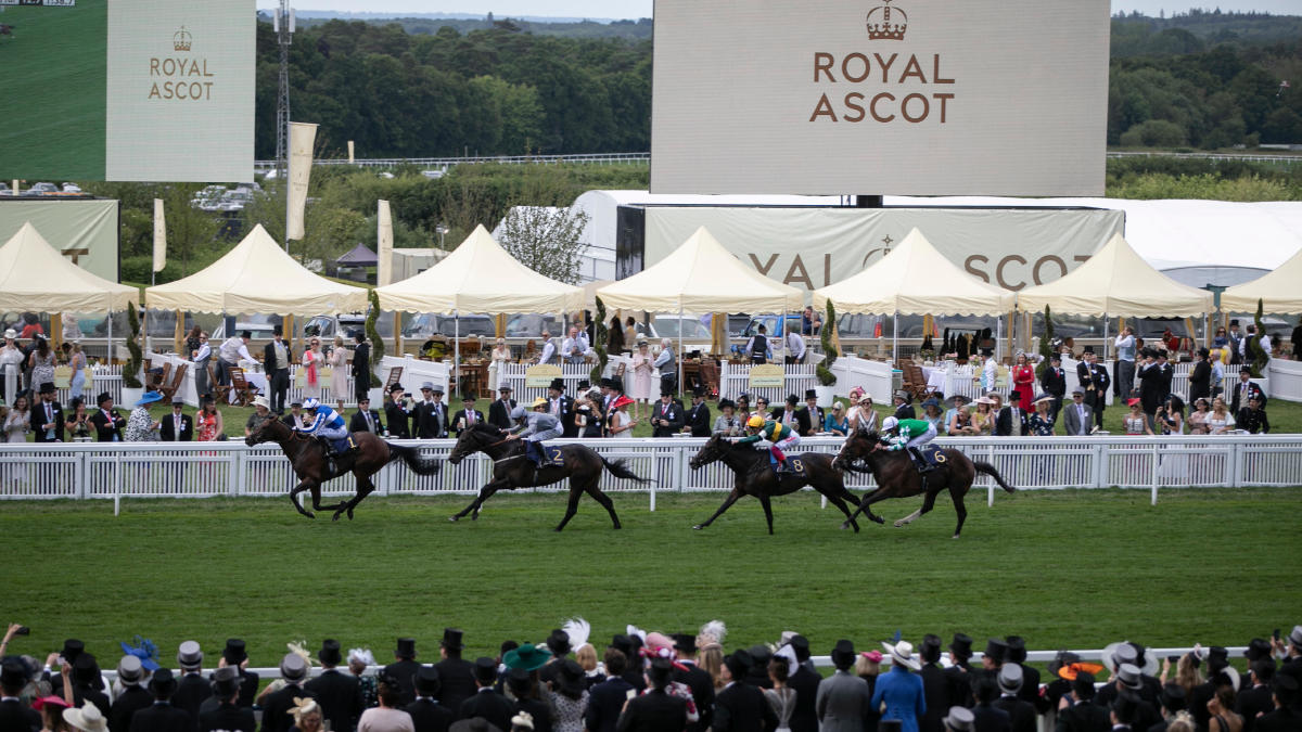Royal Ascot tips: Tropical Storm can chase Whistlejacket home in Norfolk Stakes