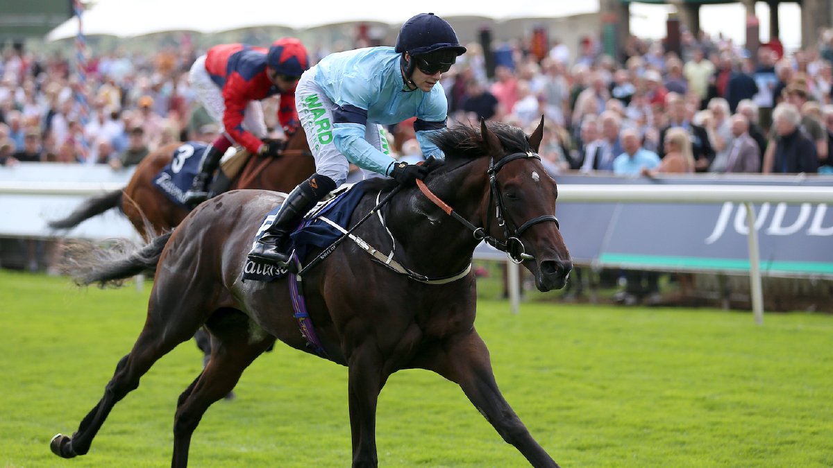 Royal Patronage dancing To The Dante then the Derby