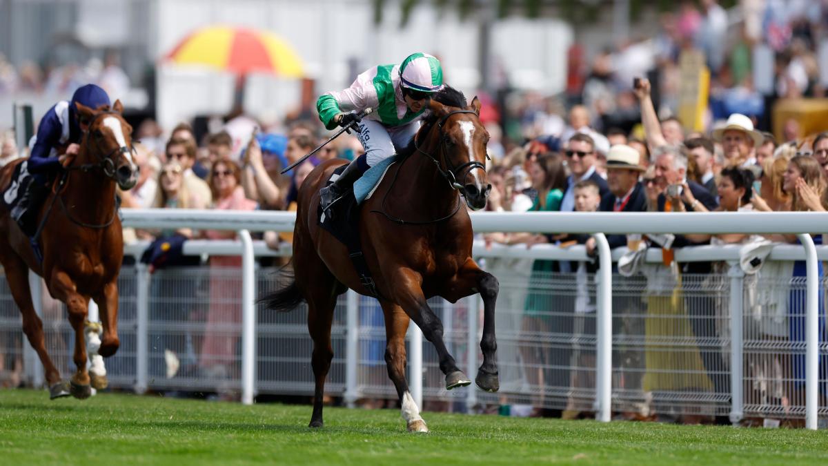 Royal Scotsman set for rematch with Chaldean in the St James's Palace ...