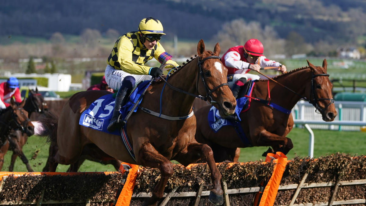 Cheltenham Festival Champion Hurdle racing tip (1530): Iberico Lord ...
