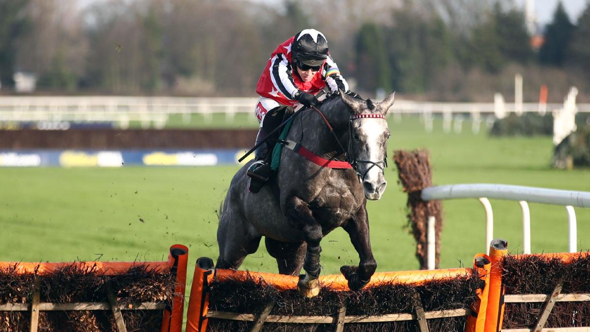 Straw Fan Jack heading straight to Cheltenham