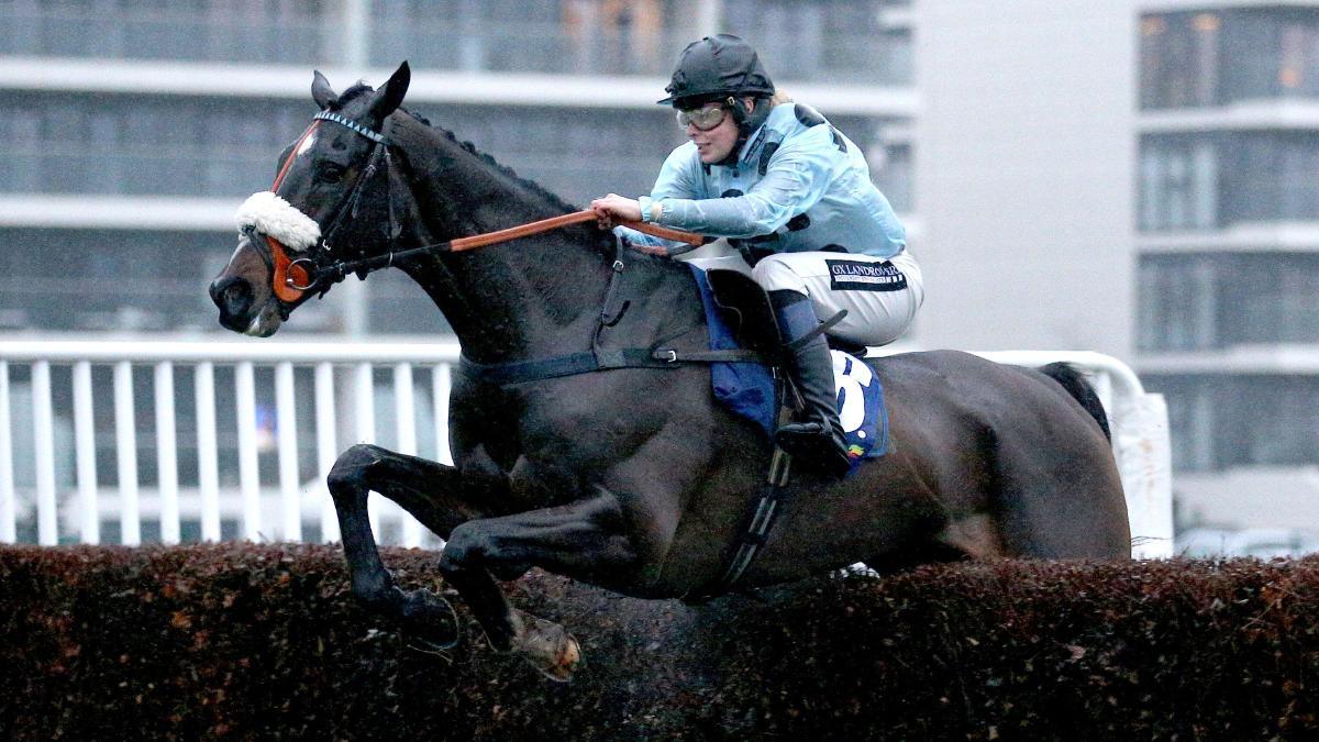 Tea For Free out for season after Doncaster fall