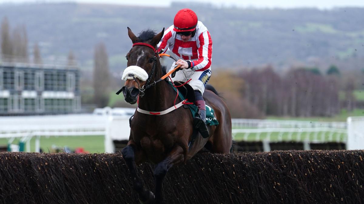 Patrick Neville still weighing up The Real Whacker's Cheltenham options