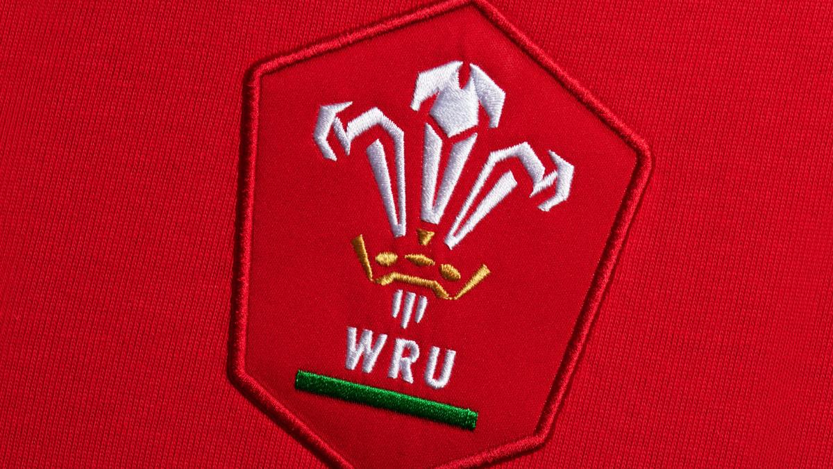 Rugby Union: Wales set to experiment against England with a much ...