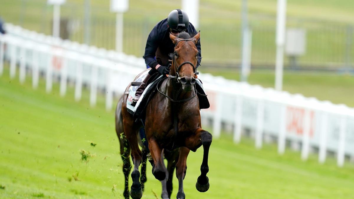 Westover team excited after superb effort behind magical Equinox