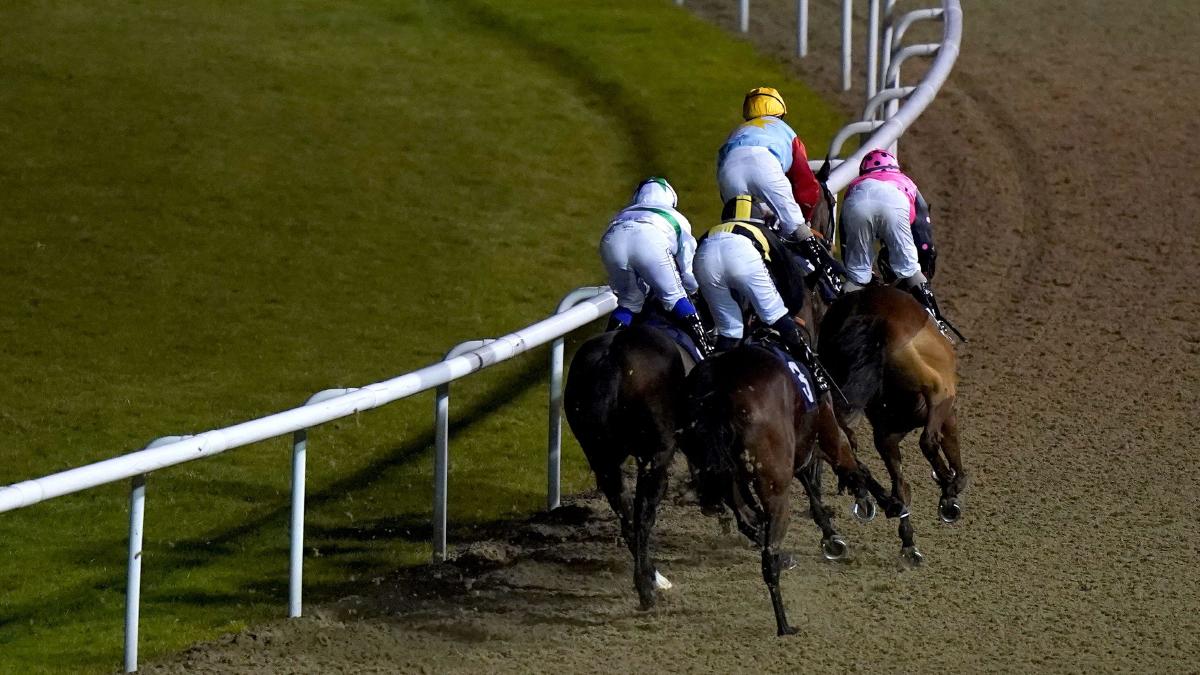 Wolverhampton top racing tip: The Menstone Gem can sparkle on preferred ...