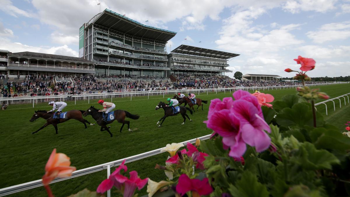 York racing tips: Gregory all set to challenge market leaders for ...