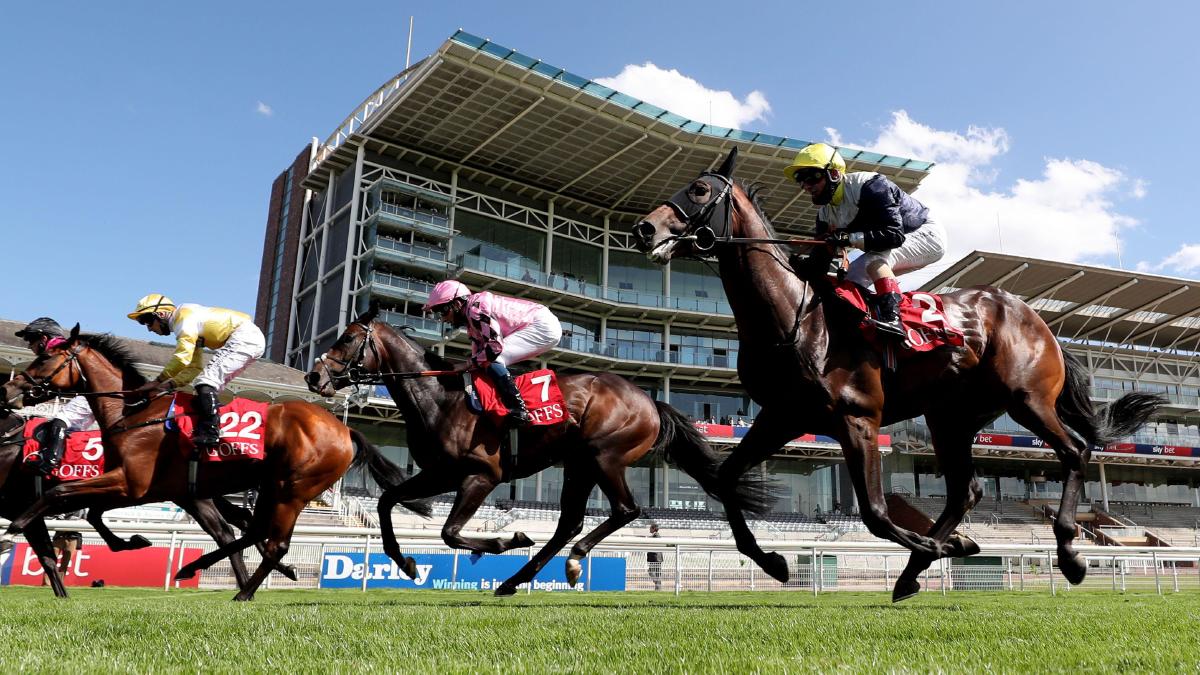 Invictus Gold determined to challenge for Rockingham Stakes honours at York