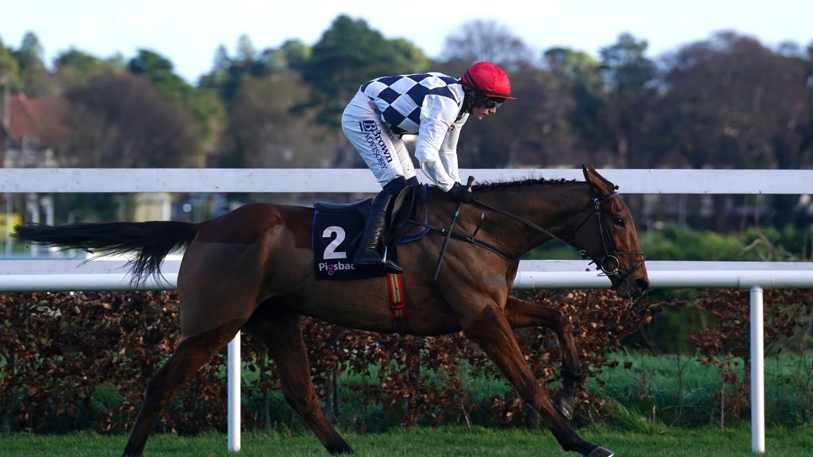 Ballyburn reels in another Grade 1 for Willie Mullins at Leopardstown