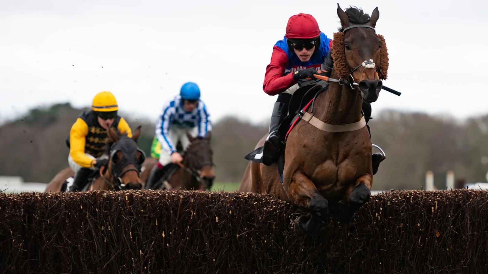 Harry Cobden’s Planet Sport Bet blog: I'd love to ride ...