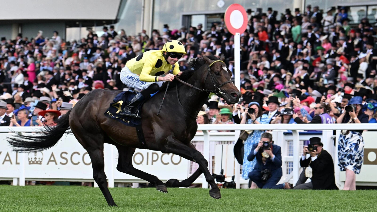 Inisherin powers his way to Commonwealth Cup glory at Royal Ascot