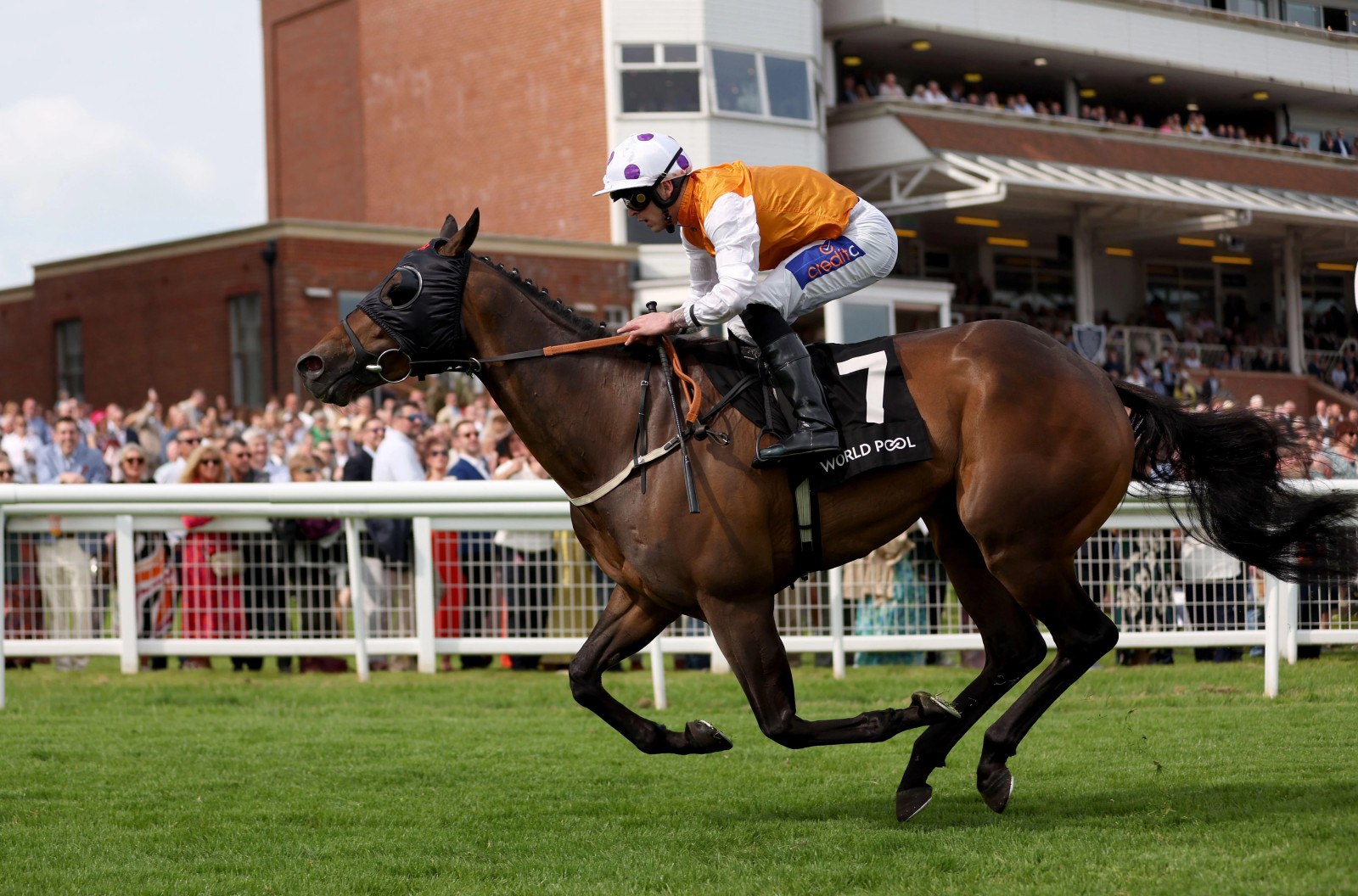 Lethal Levi on course for Ayr Gold Cup after Newbury success