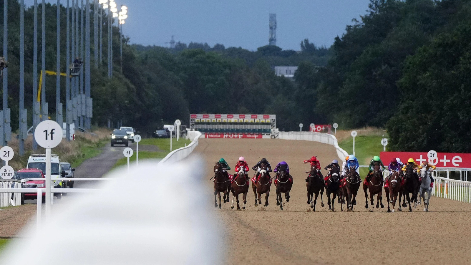 Newcastle free racing tips: Course-distance winner can hit ground ...