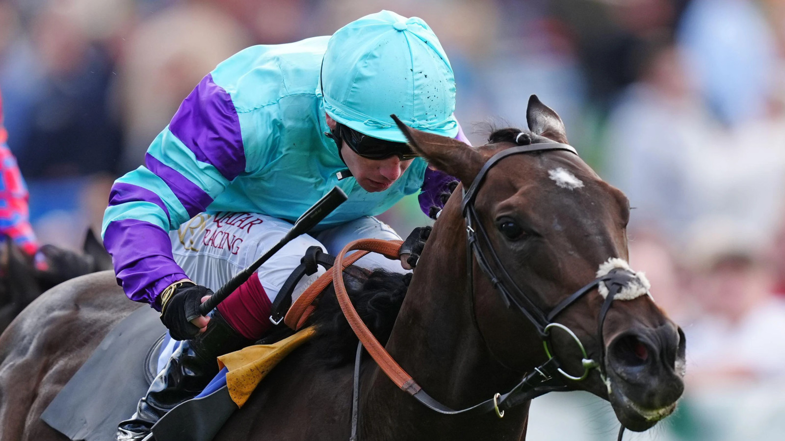 Cool Hoof Luke triumphs in Gimcrack Stakes at York