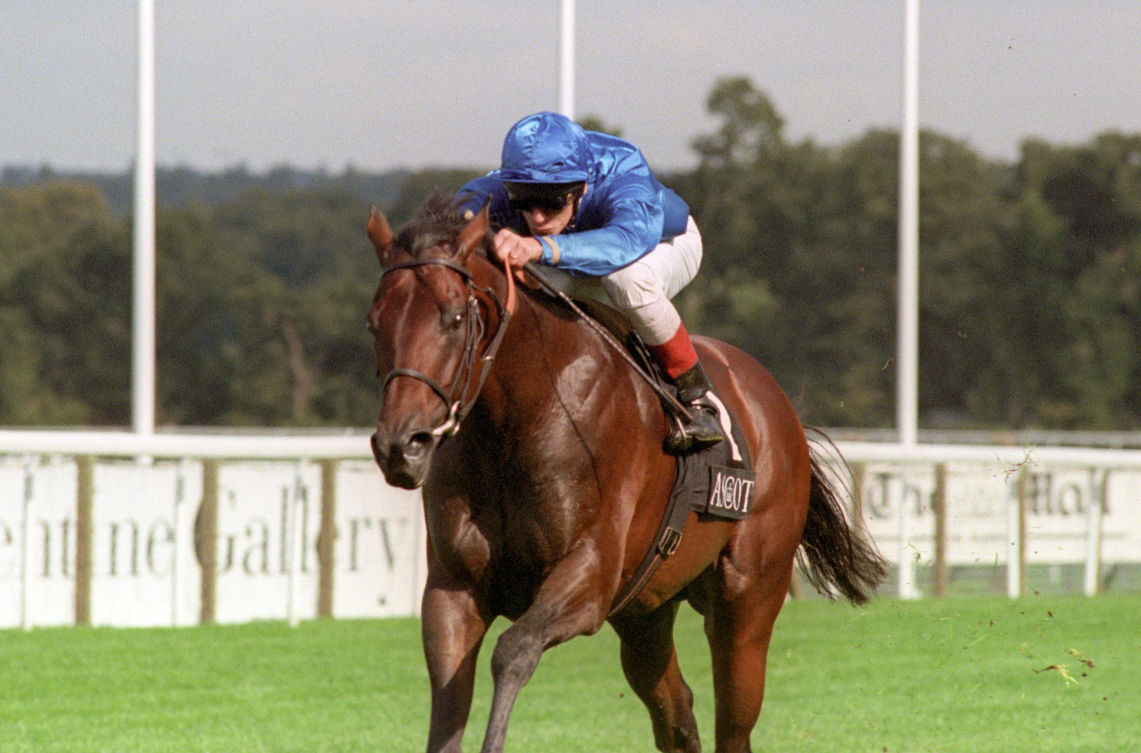 Dubai Millennium joins racing's hall of fame