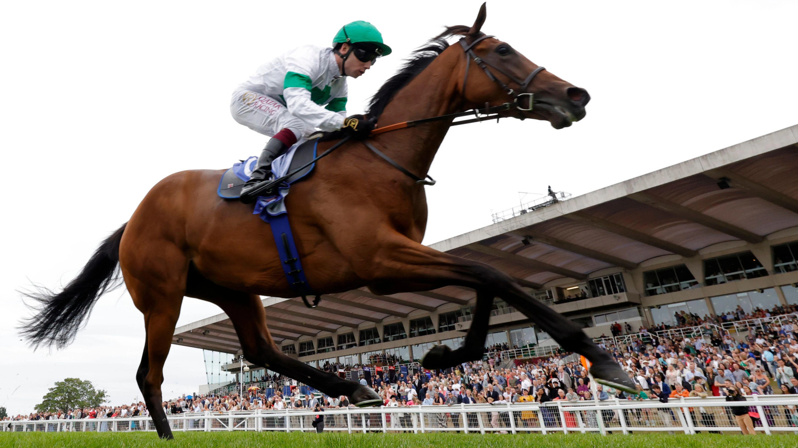 Colin Keane gets nod to ride Tamfana in Sun Chariot Stakes