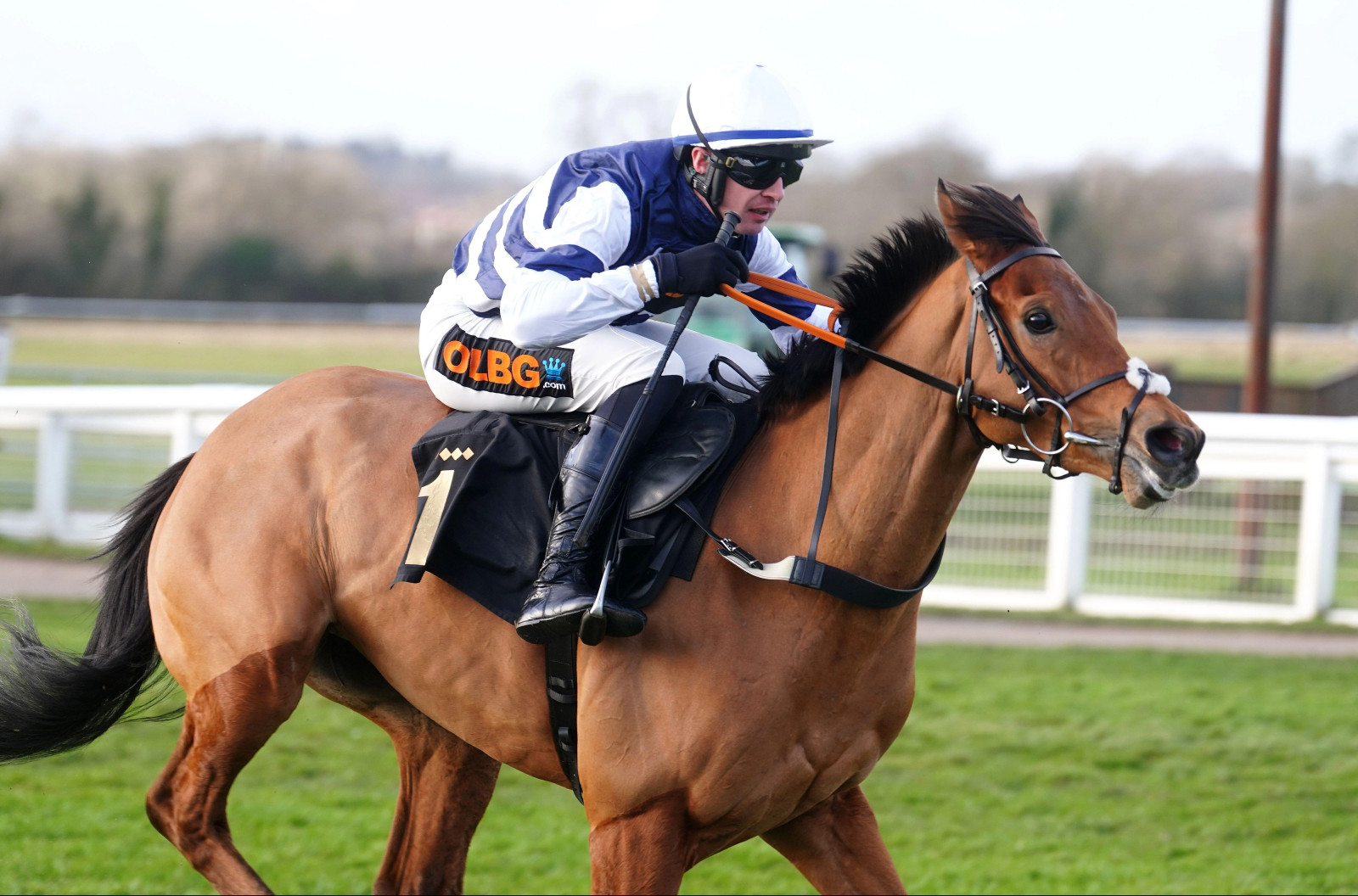 Givemefive 'in good nick' for upcoming Cheltenham target