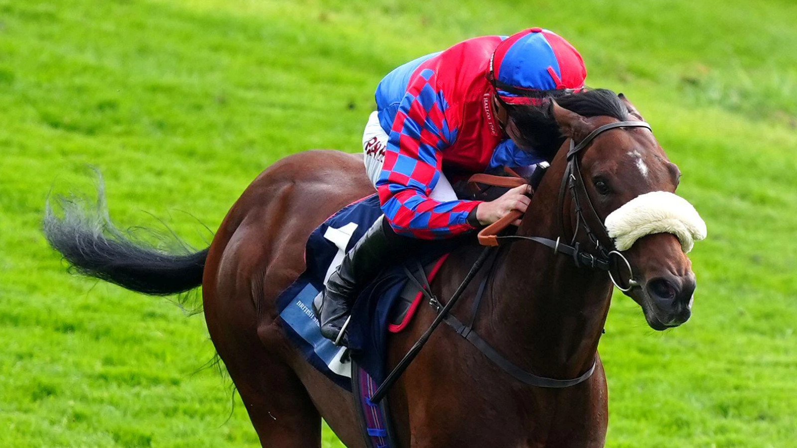 Mick Appleby backs Big Evs to overcome tough Breeders' Cup draw