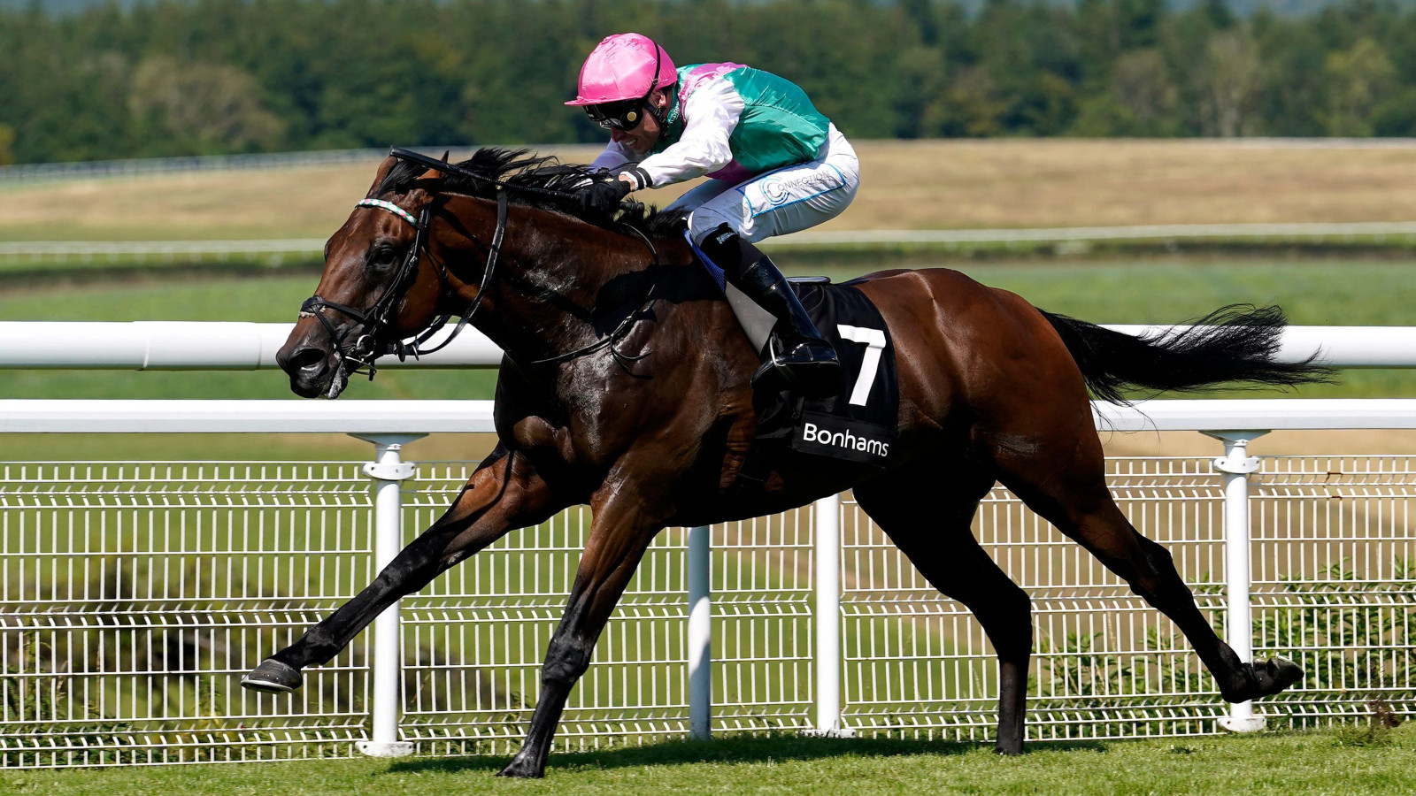 Lead Artist looking for improvement in Bahrain